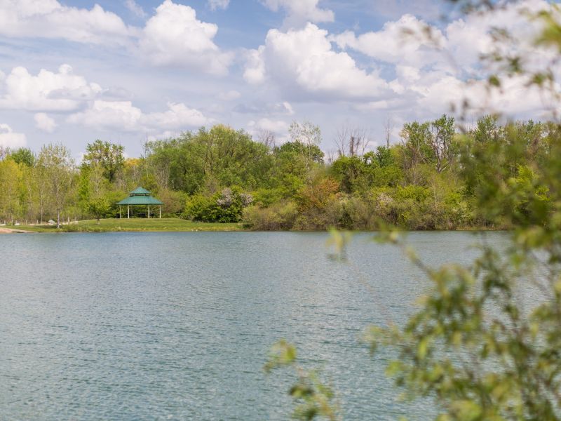 Hawthorn Pond Natural Area