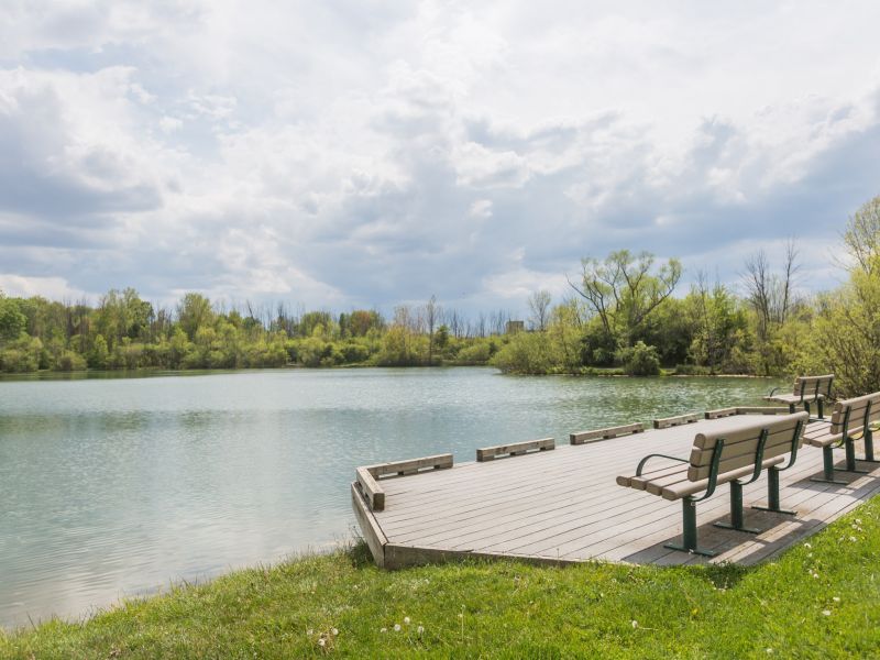Hawthorn Pond Natural Area